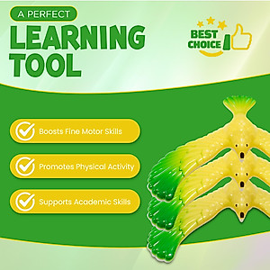 SENSORY4U Balancing Bird Set - One Dozen Party Pack Balance Birds - School Treasure Box or Party Favors Gifts for Kids - Physics Game Fine Motor Skills Toys.