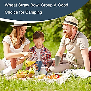 PYRMONT Plastic Cups 6 Pack Wheat Straw Cups 20oz Unbreakable Kid Cups Tumbler Cups for Kitchen Durable Drinking Cups Reusable Small Water Cups Dishwasher & Microwave Safe, BPA Free, PT01