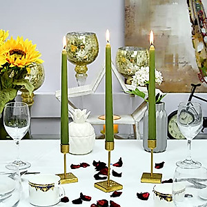 Zest Candle 12-Piece Taper Candles, 10-Inch, Sage Green