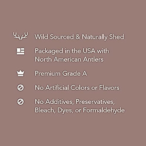 Amazon Brand – Wag Split Elk Antler, Naturally Shed, Medium 6–7.5 inches