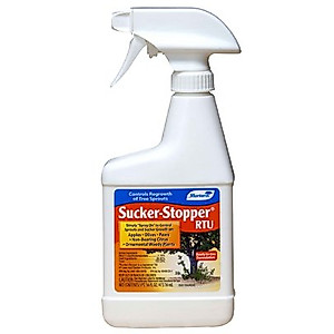 Monterey Lawn & Garden Sucker Stopper Rtu 16 Oz