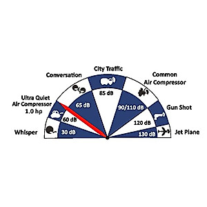 California Air Tools 2010SP Ultra Quiet and Oil-Free Lightweight 1.0 HP 2-Gal Steel Air Compressor, Silver