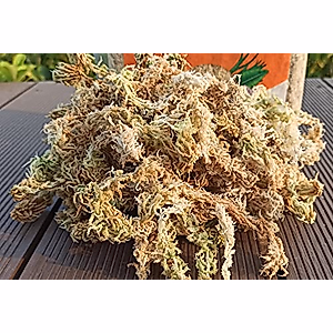 Yilotuce 1.1 lb Sphagnum Moss for Plants, Carefully Selected Clean Sphagnum Mos for Rooting Plants