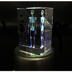 3D Human Skeleton Anatomical Model Paperweight(Laser Etched) in Crystal Glass Cube Science Anatomy Gift (No Included LED Base)(3.1x2x2 inch)