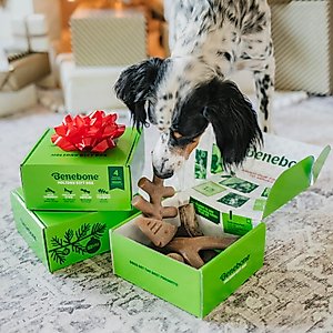 Benebone Medium Holiday 4-Pack Dog Chew Toys for Aggressive Chewers Dental Durable Dog Chew Toy for Aggressive Chewers, Real Bacon