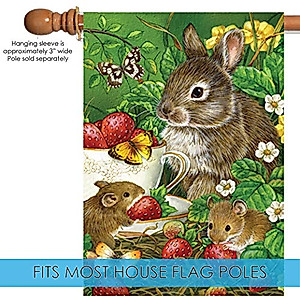 Toland Home Garden 101176 Berry Sweet Easter Flag 28x40 Inch Double Sided Easter Garden Flag for Outdoor House Spring Flag Yard Decoration