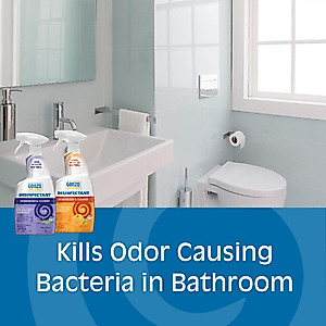 Gonzo Disinfectant Spray & Multipurpose Cleaner - 24 Ounce (2 Pack) Citrus - Odor Eliminator, Disinfectant, Flood Fire Water Damage Restoration