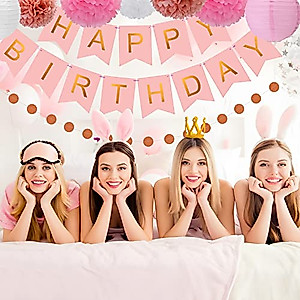 meowtastic Pink Birthday Party Decorations, Happy Birthday Banner with Tissue Pom Poms, Tassel Garland, Paper Lanterns, Circle Dot Garland, Pink and Rose Gold Happy Birthday Decoration for Women Girl