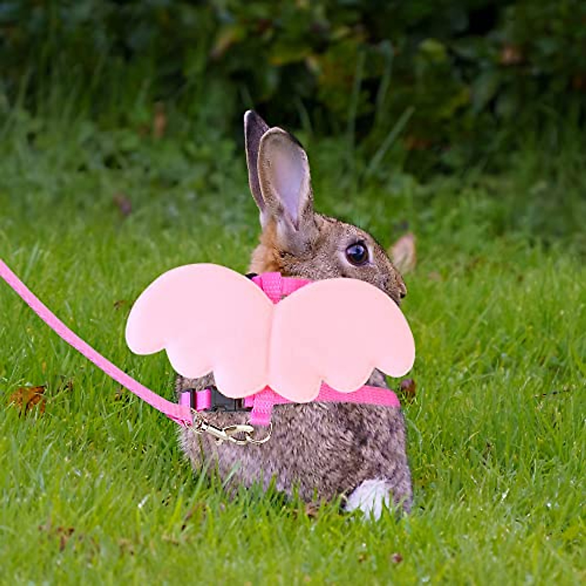 Mogoko 2 Pcs Cute Rabbit Harness and Leash Set, Adjustable Bunny Vest Dress with Lead for Ferret Guinea Pig Kitten Small Animals (S)