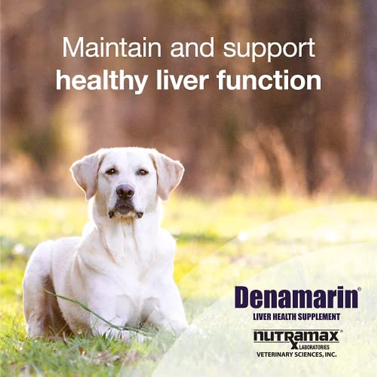 Nutramax Denamarin Liver Health Supplement for Dogs, With S-Adenosylmethionine (SAMe) and Silybin, 75 Chewable Tablets