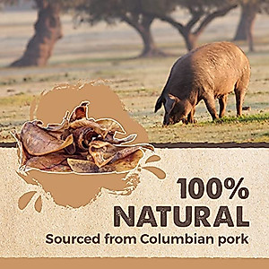 Mighty Paw Half Pig Ears for Dogs | All Natural Dog Treats. Single Ingredient Pig Ear Dog Treats. Better Than Rawhide Dog Snacks for Puppy and Large/Medium Dogs. Pigs Ears Dog Chews, Dog Pig Ears