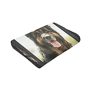 Smart Black Brown German Shepherd Dog Lovely Printed Ultra-Soft Throw Blanket Home Decorative Blanket for Living Room Bed Sofa