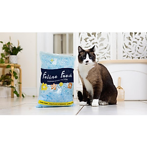 Feline Fresh Premium Crystal Cat Litter - Superior Odor Control, Absorbs 5X Faster, 99.9% Dust Free Low Tracking for Less Mess, Lasts up to 1 Month, 8.6 lbs (2 Pack of 4.3 lb Bags)
