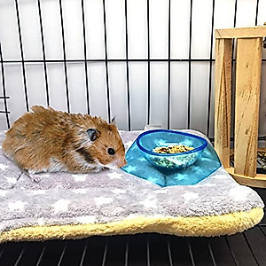 Hamster Food Bowl Plastic Guinea Pig Water Dish Prevent Knocking Over and Food Splashing Small Animal Feeding Bowl Double Use Container for Hamster Gerbil Chinchilla Ferret Hedgehog