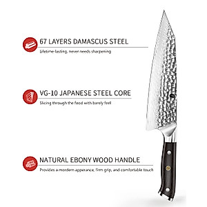 BRODARK Japanese Chef Knife, Damascus Chef Knife 8 inch with Japanese VG-10 Steel Core, Ultra-Sharp Professional Kitchen Knife, Handcrafted with Ebony Wood Handle, Holiday Gifts