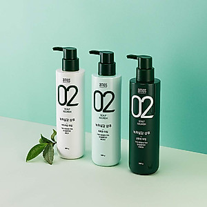 AMOS PROFESSIONAL The Green Tea Shampoo [Moist - For Normal/Dry Scalp] 17.6oz (500g) | Anti-Thinning & Anti- Hair Loss Shampoo for Hair Growth and Moisture | Korean Hair Salon Brand