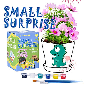 JC-JDFMY11 Paint & Plant Flower Planting Growing Kit - Kids Gardening Birthday Drawing Toys -Crafts for Girls & Boys - STEM Art & Handicraft Project Activities,Arts and Crafts for Kids 6,8-12