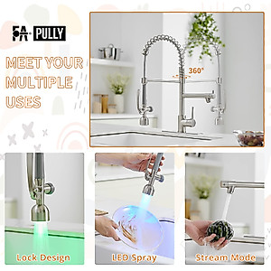 Fapully LED Kitchen Sink Faucet,Kitchen Faucet with Pull Down Sprayer Include Hole Cover Brushed Nickel