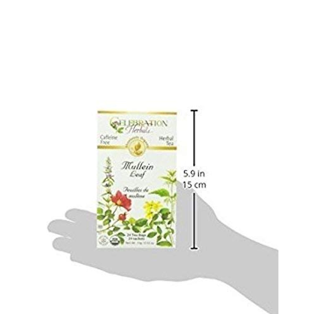 Celebration Herbals Organic Mullein Leaf Tea Caffeine Free - 2 Pack (48 Bags in Total)