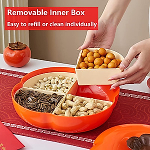 Taiuloo Divided Serving Tray with Lid, 4 Compartment Removable Snack Platter Container, BPA-Free Storage Box for Appetizer, Snackle, Candy, Fruit, Nut, Veggie, Parties Entertaining Dishwasher Safe