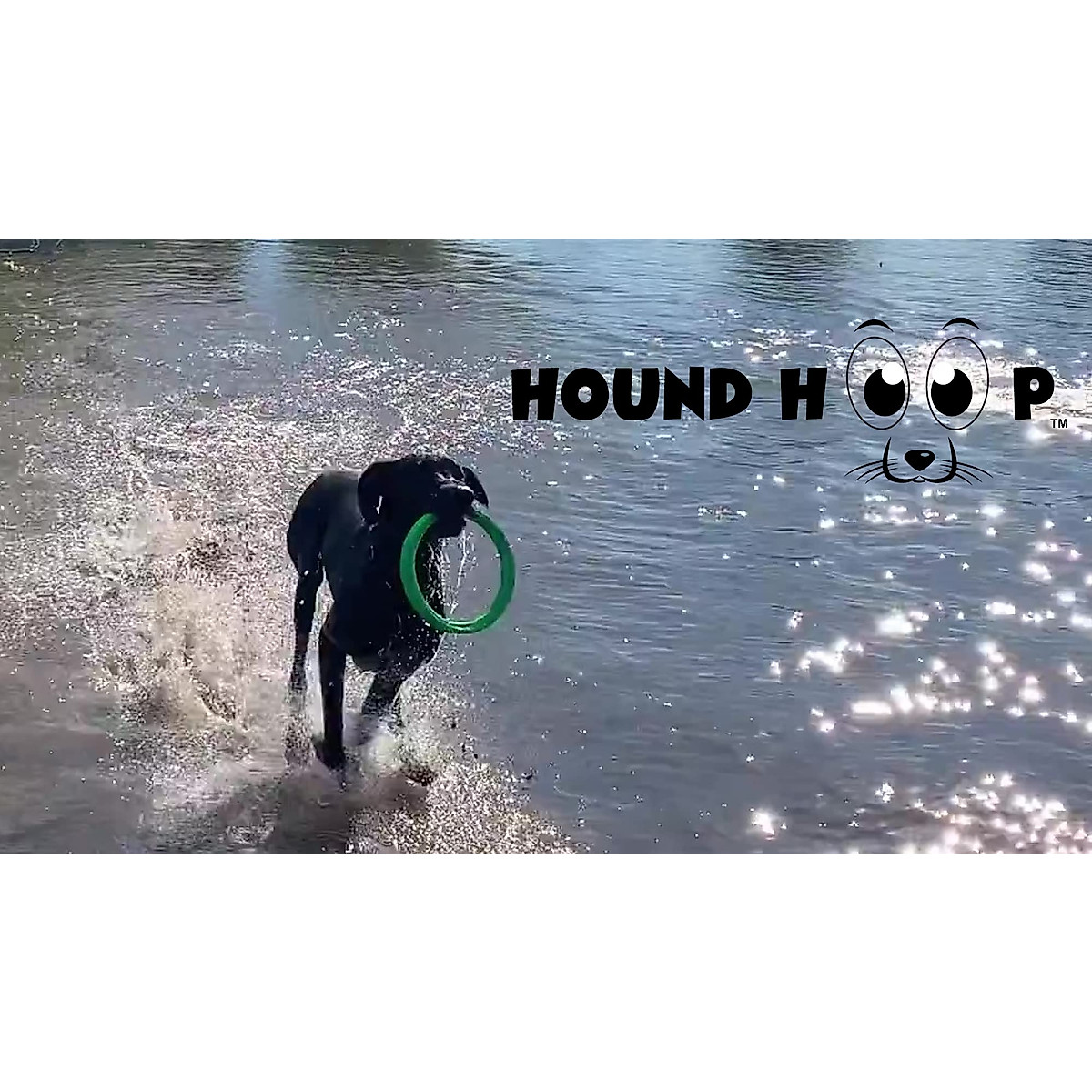 Hound Hoop - Professional Dog Fetch Toy for Medium & Large Breeds - Rolling Fetching Tire & Chase Ring for Outdoor Training & Water Retrieval Play - Helps Improve Agility, Balance, Speed - 10x1.5…