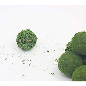 Nice purchase Handmade Natural Green Plant Moss Balls Decorative for Home Party Display Decor Props (2 in)