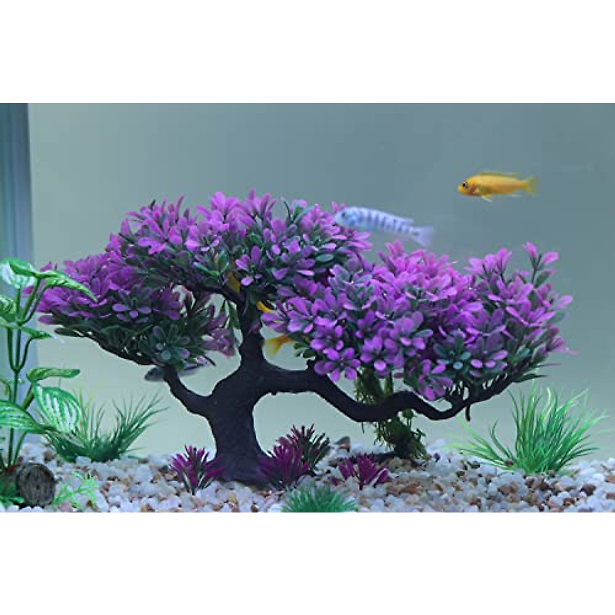 HRRIVE Fish Tank Aquarium Plants, Professional Fish Tank Decorations, Artificial Aquatic Plants, Betta Fish Accessories, Curved Branch Design, Made of Plastic, Pack of 1, Purple