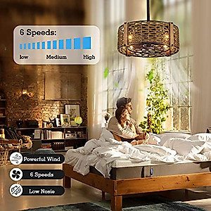 Farmhouse Caged Ceiling Fan with Lights Remote Control, Low Profile Bedroom Ceiling Fans, Industrial 17 Inch Ceiling Fans for Kitchen, Bedroom, Dining Room