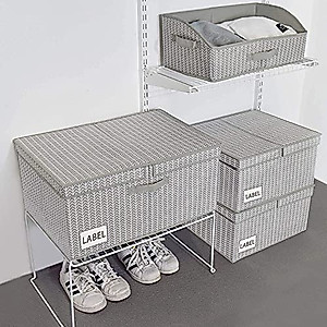 GRANNY SAYS Bundle of 1-Pack Extra Large Rectangle Storage Bins & 3-Pack Large Rectangle Closet Storage Bins with Lids