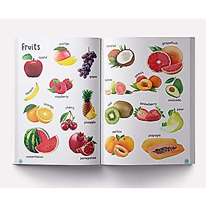 My First 500 Words: Early Learning Picture Book