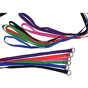6 Pcs Bulk Pack Slip Leads Dog Pet Grooming Kennel Small Animal Control Shelter Lead Leash