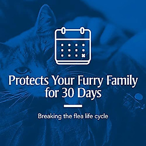 PetArmor Plus for Cats, Flea & Tick Prevention for Cats (Over 1.5 lb), Includes 6 Month Supply of Topical Flea Treatments, white, 6 count