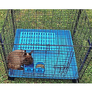 Saguaro Acres Rabbit, Chicken or Small Animal Cage Food or Water Coop Cups, Blue, 2 Pack
