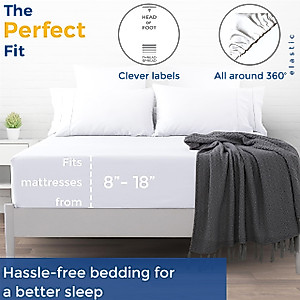 THREAD SPREAD Twin XL Fitted Sheet Only - 100% Egyptian Cotton 600 Thread Count 16" Deep Pocket White Fitted Sheet Twin XL, Soft Cooling Sateen Elastic Bottom Sheet, Fits College Dorm Mattress, Teens