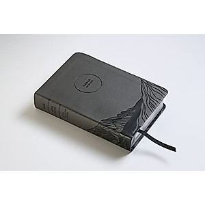 Santa Biblia NTV, Edición compacta, letra grande (SentiPiel, Carbón, Índice, Letra Roja) (Spanish Edition)