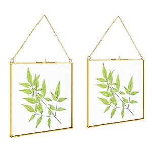 TLBTEK 2 PCS 6 inch Hanging Photo Frame, Double Glass Frame for Pressed Flowers,Clear DIY Vintage Artwork Display Frame Wall Mounted Photos Frame
