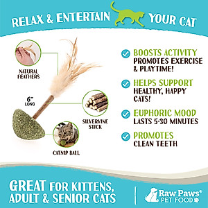 Raw Paws Silvervine Lollipop Toys, 3 ct - Cat Feather Toys for Indoor Cats - Interactive Cat Toys with Feathers - Cat Kicker Toy - Catnip Toys for Cats