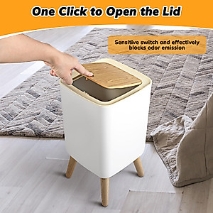 WVIOUOPU 2.6 Gallon/10 Liter Bathroom Kitchen Trash Can with Lid - Office Waste Basket Modern with Press Top Lid - Small Trash Bin Dog Proof Garbage Can with Pop-up Lid for Living Room Toilet (White)