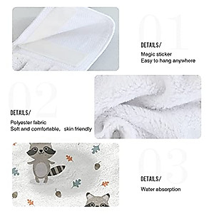 susiyo 2pcs Hanging Kitchen Towels Cute Baby Raccoon Hand Bath Towels Super Absorbent Dish Towels Soft Coral Velvet Tie Towel with Loop for Bathroom Washcloth Farmhouse Home Decor, 18x14 Inch