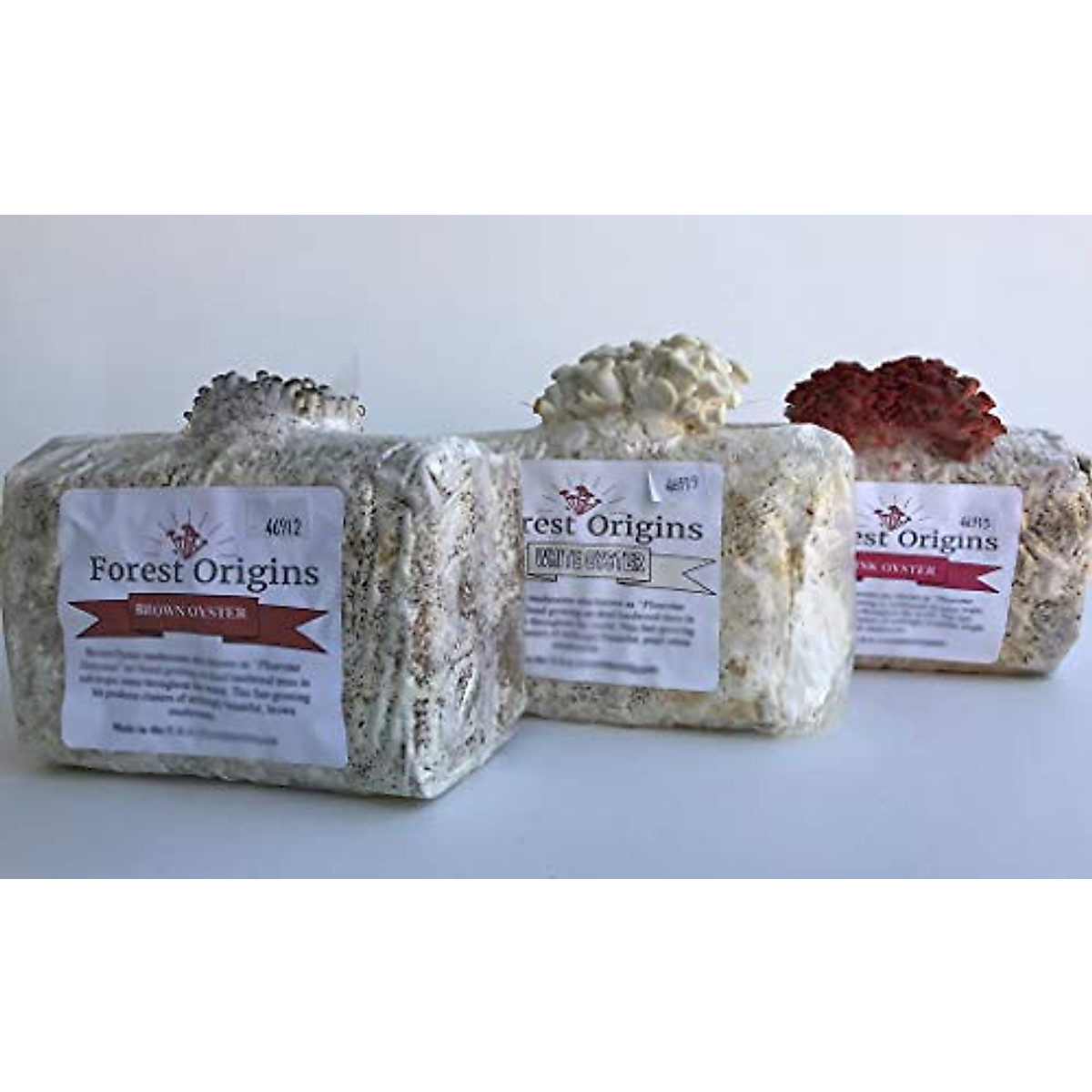 Forest Origins Specialty Trio Oyster Mushroom Grow Kit 3-Pack Variety - Beginner Friendly & Easy to Use, Grows in 10 Days | Handmade in California, USA | Top Gardening Gift, Holiday Gift & Unique Gift