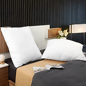 Utopia Bedding Throw Pillows Insert (Pack of 2, White) - 24 x 24 Inches Bed and Couch Pillows - Indoor Decorative Pillow