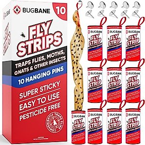 10 Fly Strips Indoor Sticky Hanging with Pins. Fly Trap Fly Paper Strips Indoor Hanging Fly Tape for Indoors and Outdoor. Fly Catcher Fly Ribbon Sticky Fly Traps for Indoors Flypaper. Fruit Gnat Traps