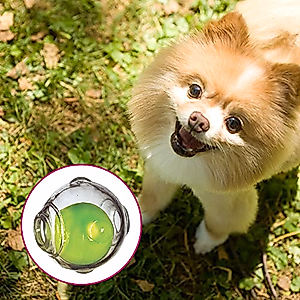 Chase 'n Chomp Dog Amazing Squeaker Ball Toy for Pets, Clear, 3.5 Inch, All Breed Sizes