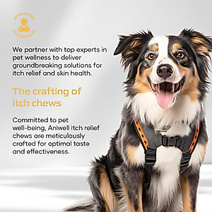 Aniwell Itch Relief Chews for Dogs – Vitamin E & Borage Oil Supplement – Packed with Beneficial Fatty Acids for Healthy Skin – Seasonal Allergies Support | Pack of 2