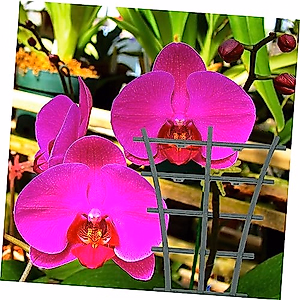 FUNOMOCYA 12pcs Garden Climbing Frame Plant Pots Outdoor Plastic Display Stands Plastic Flower Pots Green Plants Greenery Stems Rose Trellis Plant Climbing Rack Plant Stake Support Indoor