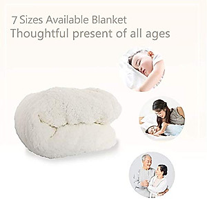 Babrukda Tribal Aztec Black White Sherpa Blanket Plush Throw Blankets Size 43.3x55.1 inch Bedding Blanket for Bed Sofa Couch, Soft Washable TV Recliner Camping Blanket for Women Men Kids