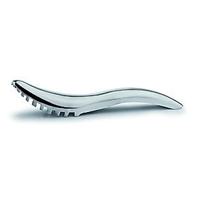 I GENIETTI Fish Scaler, Silver