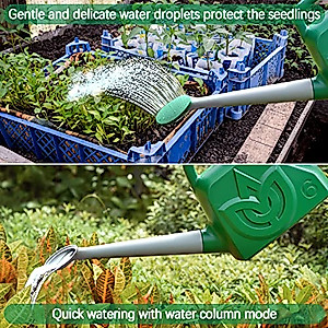 XXXFLOWER 1.5 Gallon Green Watering Can Outdoor Garden Flower Plant, Lightweight 6 L Water Cans with Detachable Nozzle Watering Pot for Office House Garden