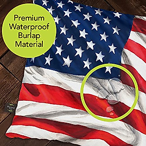 Briarwood Lane Waving American Flag Decoratiev Pillow Patriotic Incoor Outdoor 17" x 17"