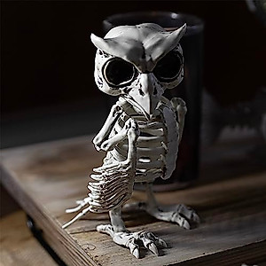 SCS Direct Owl Halloween Skeleton (2 Pack)-6.5" Long Weather Resistant Yard Fall Decorations-Graveyard Prop for Haunted House Party Decor and Indoor/Outdoor Use, School Classroom Decoration
